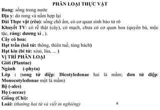 Sinh lý học thực vật - Nguyễn Du Sanh | PPT
