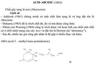 Sinh lý học thực vật - Nguyễn Du Sanh | PPT