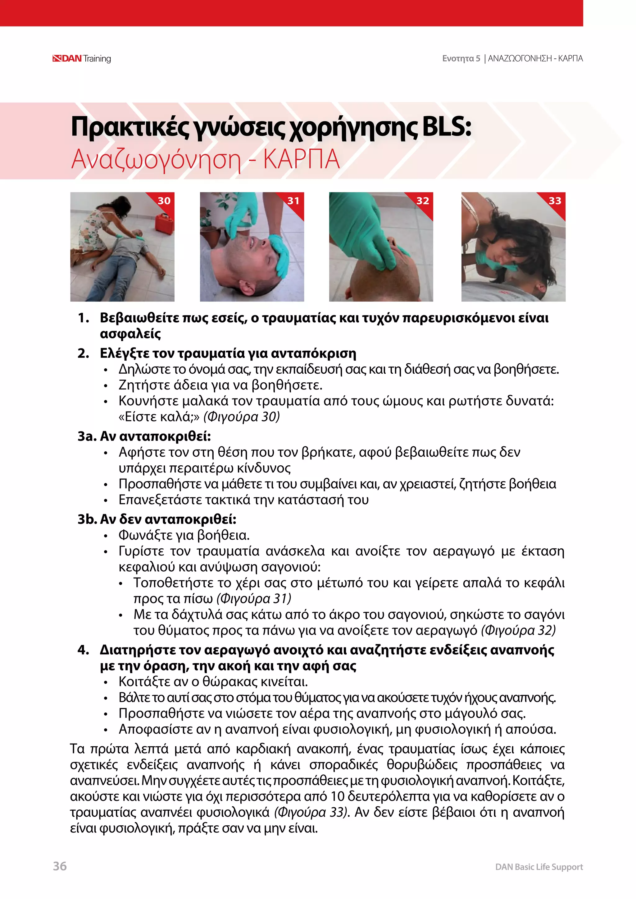 DAN Basic Life Support Manual - Greek | PDF