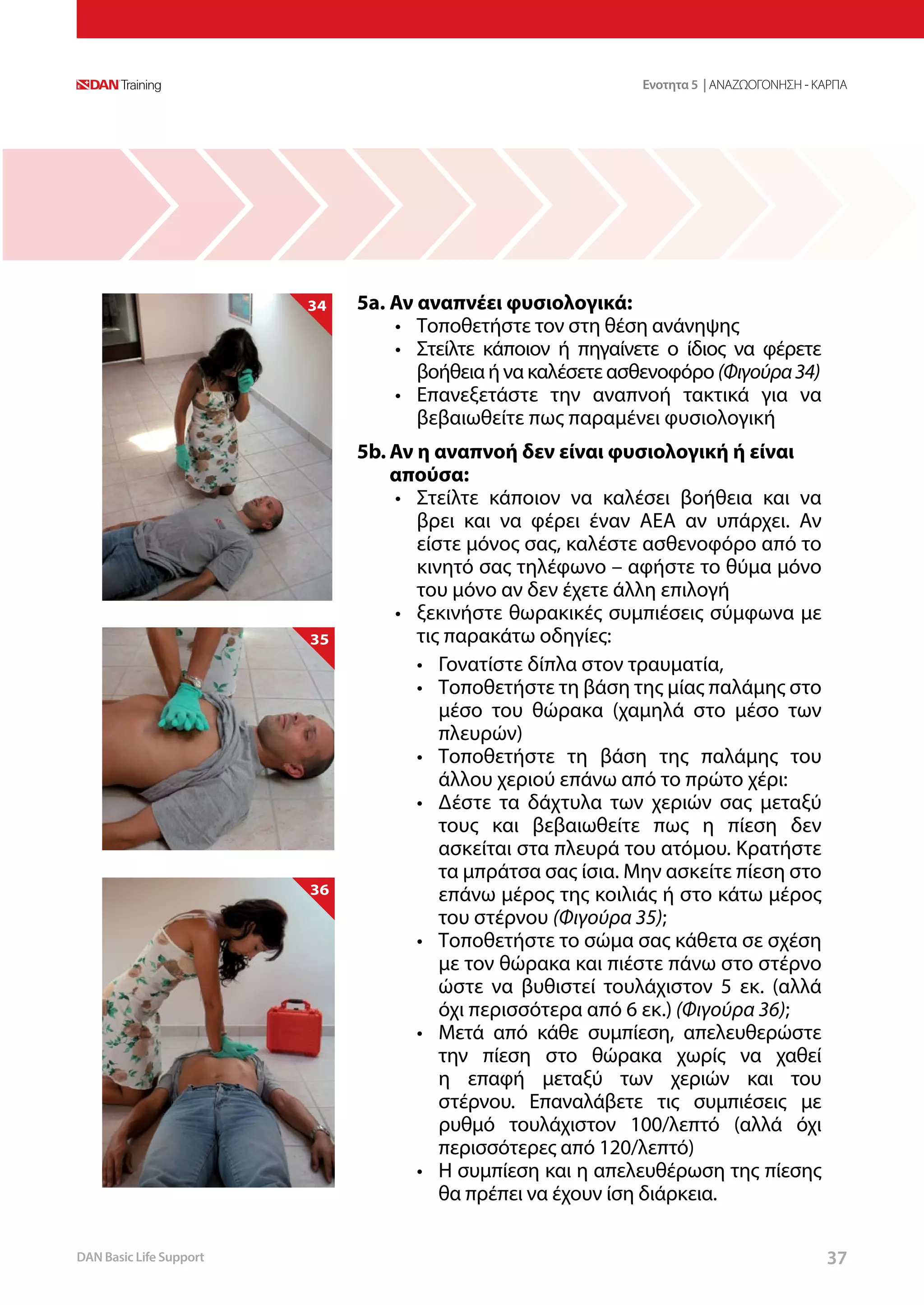 DAN Basic Life Support Manual - Greek | PDF