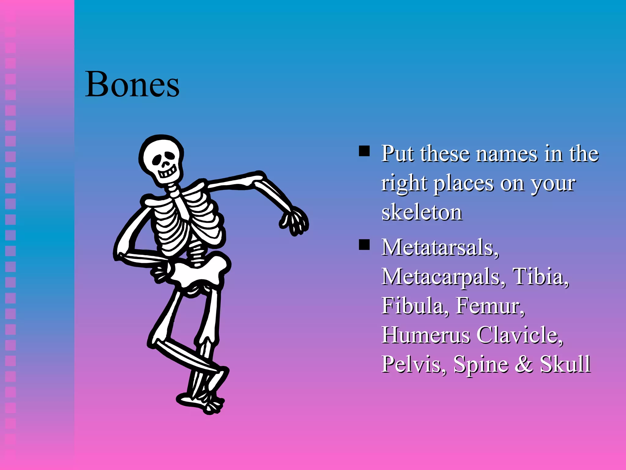 Dance Anatomy | PPT