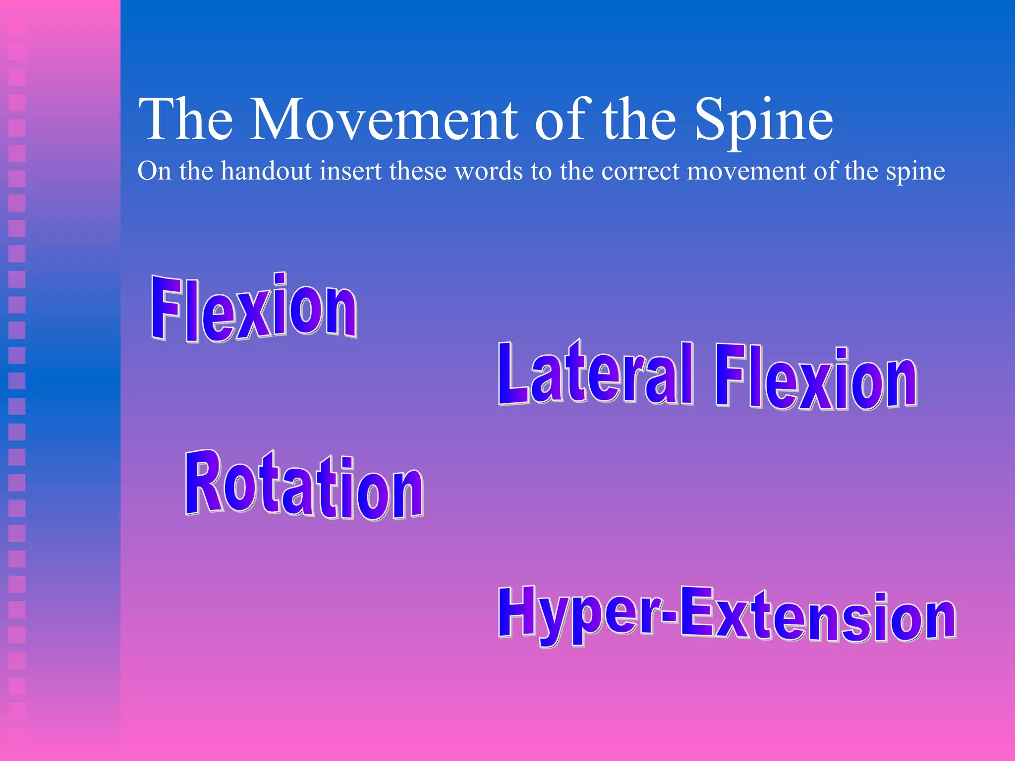 Dance Anatomy Continued | PPT