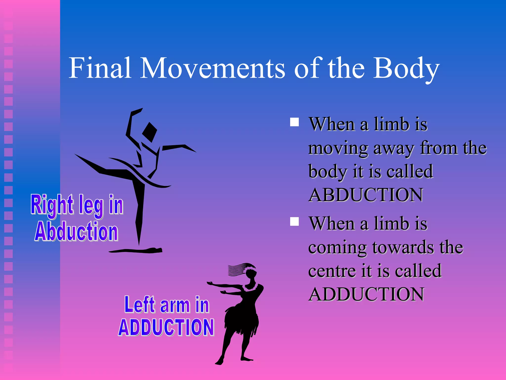 Dance Anatomy Continued | PPT