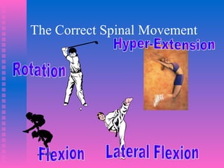 Dance Anatomy Continued | PPT