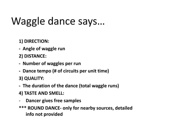 Dance Language Honeybee Pptx