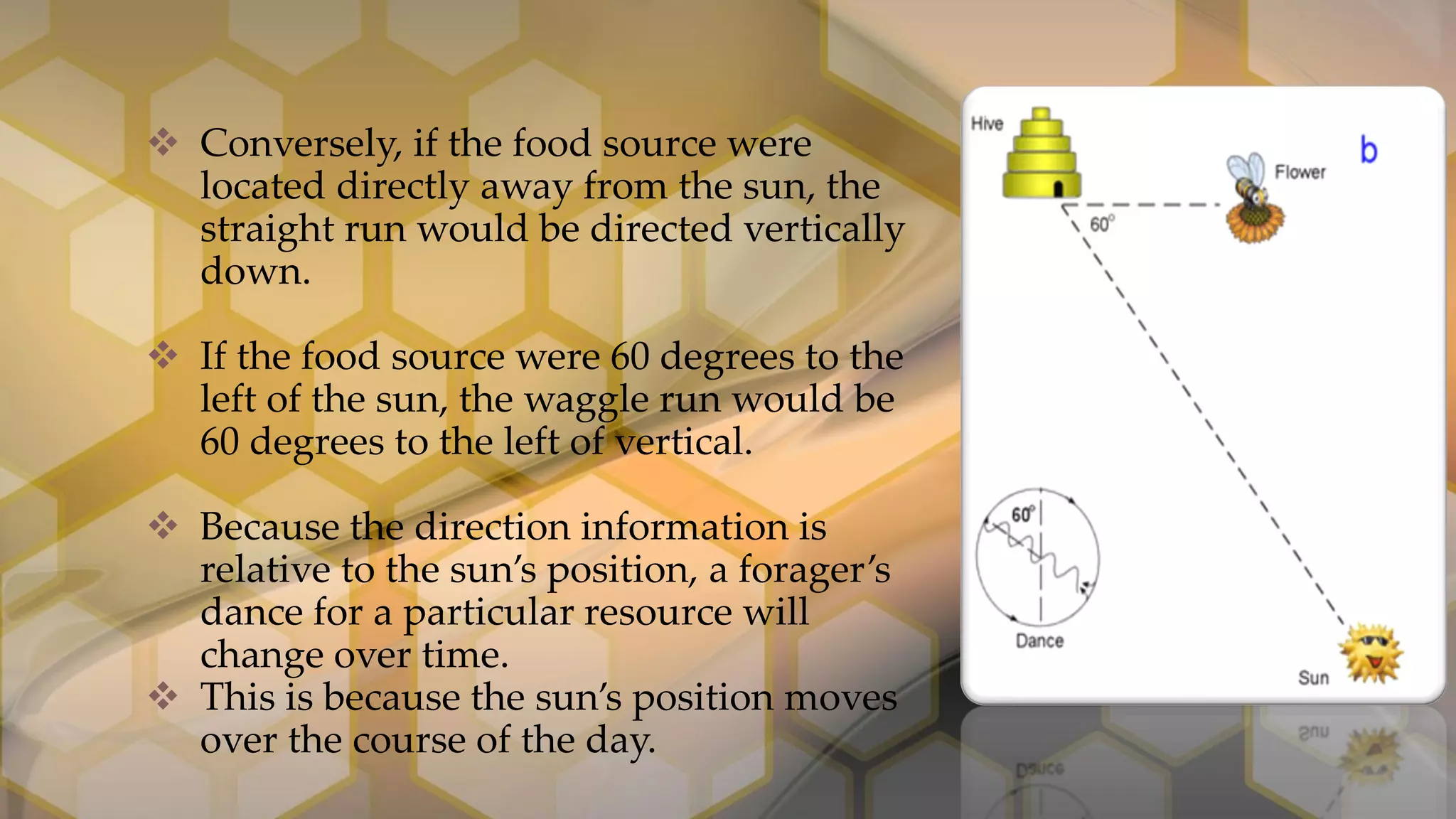 Dance language of honey bees | PDF