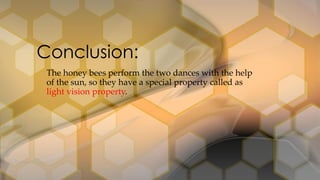Dance language of honey bees | PDF