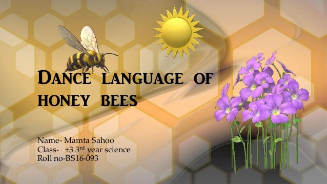 Dance language of honey bees