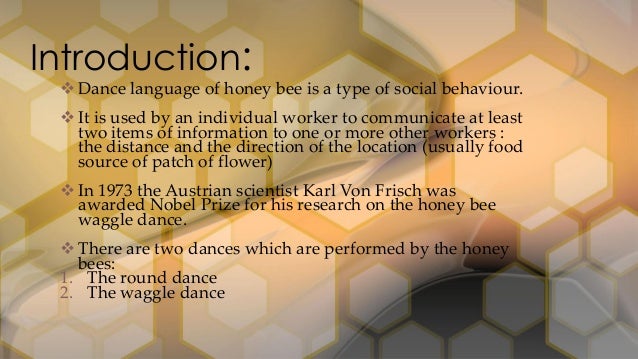 Dance language of honey bees