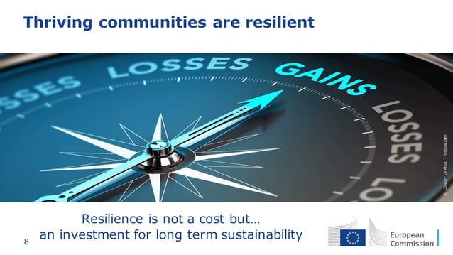 Modern Societies and Resilience – a Key to Success, Dan CHIRONDOJAN | PPT