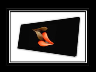 'Dancing Queen' | PPS