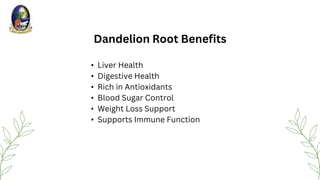 Benefits and Side Effects of Dandelion Root | PPTX