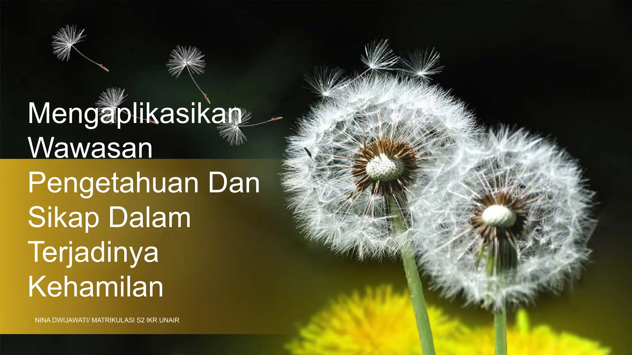 Dandelion Seeds Blowing PowerPoint Templates.pptx