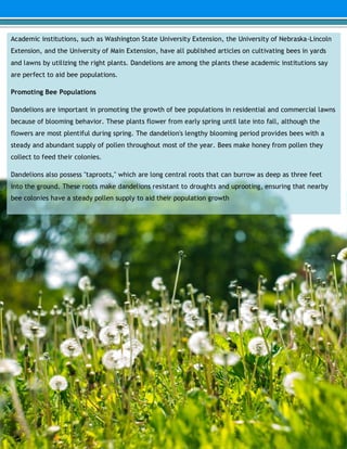Dandelions Possess Attributes That Help Cultivate Bee Populations | PDF