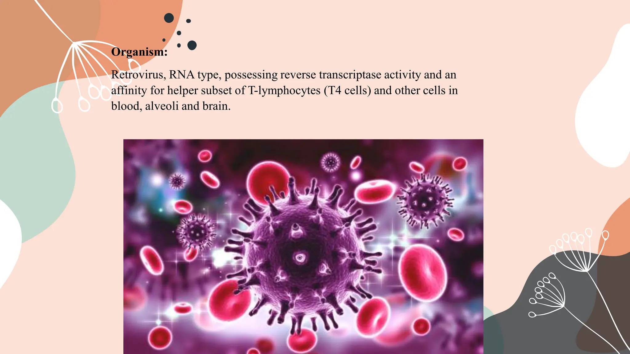 HIV positive mother and her bABY, RISK OF TRANSMISSION, ANTENATAL CARE ...