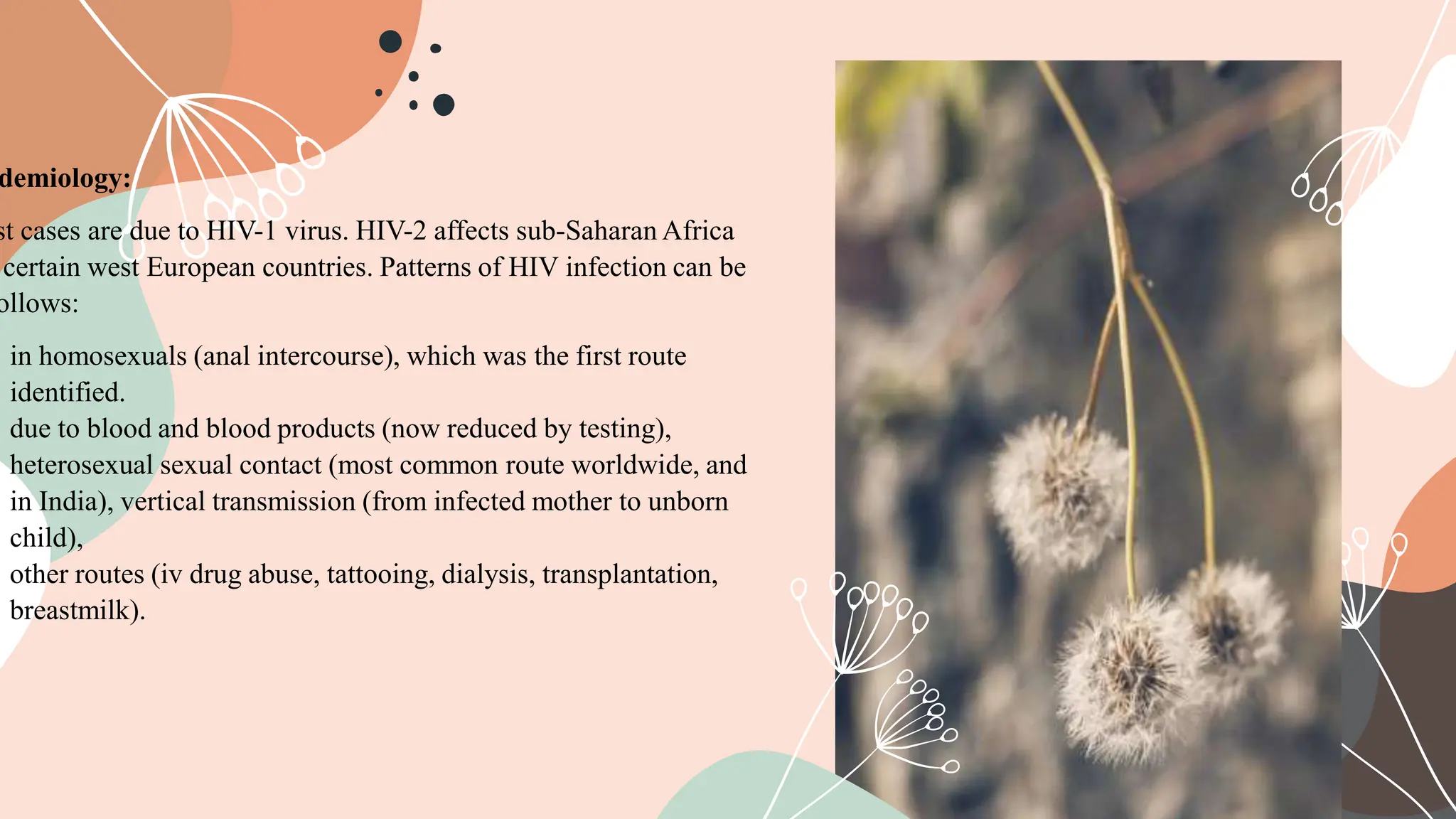 HIV positive mother and her bABY, RISK OF TRANSMISSION, ANTENATAL CARE ...