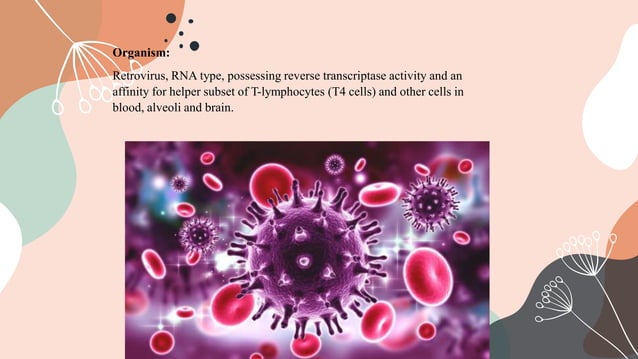 HIV positive mother and her bABY, RISK OF TRANSMISSION, ANTENATAL CARE ...