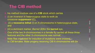 DETECTION AND ISOLATION | PPTX