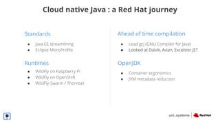 D. Andreadis, Red Hat: Concepts and technical overview of Quarkus | PDF
