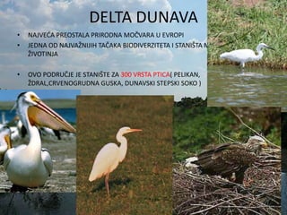 Dan dunava 29,JUN | PPT