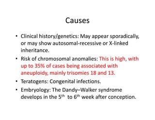 Dandy walker malformation - Hội chứng Dandy Walker | PDF