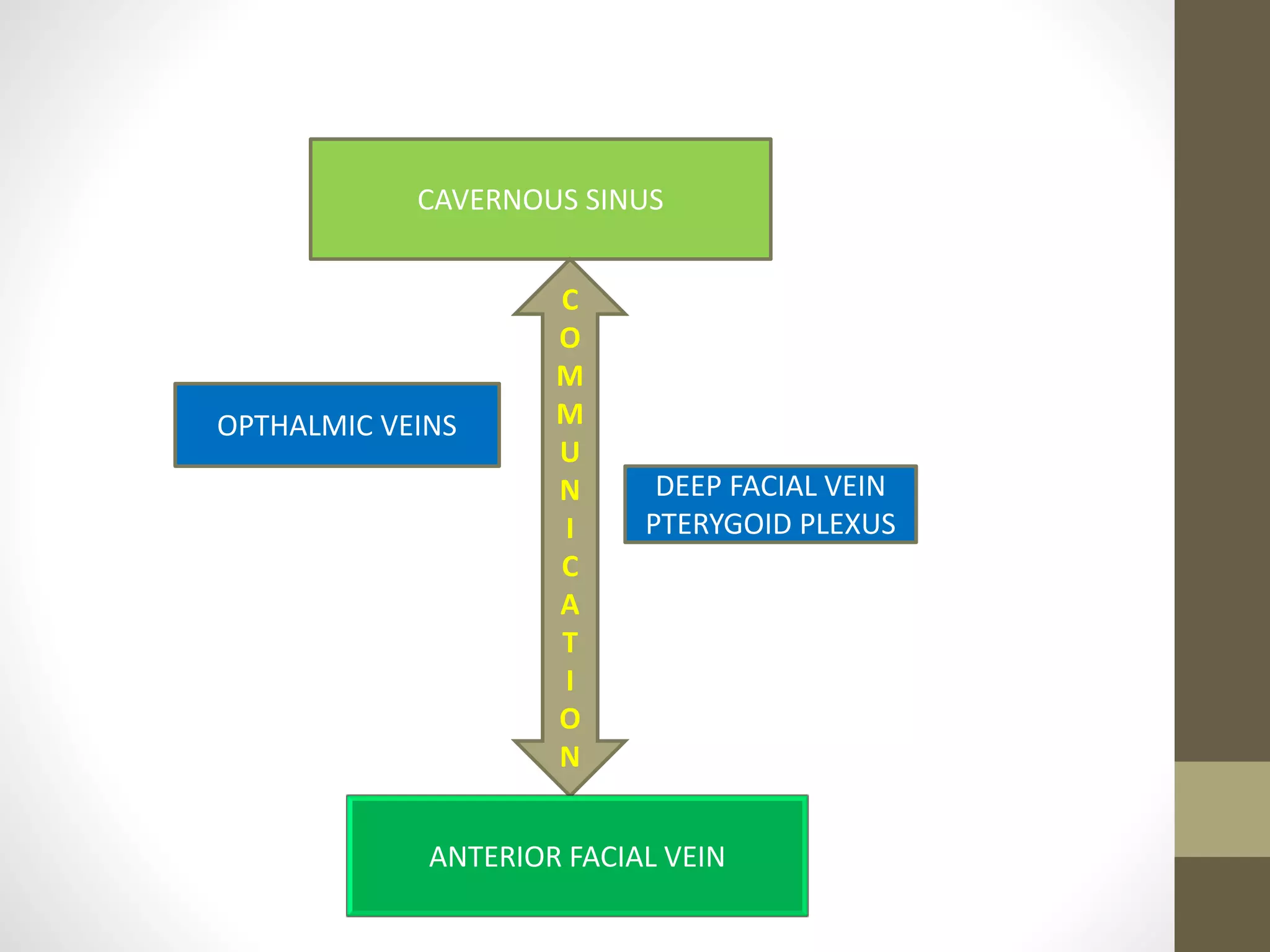 triangle of death ppt | PPTX