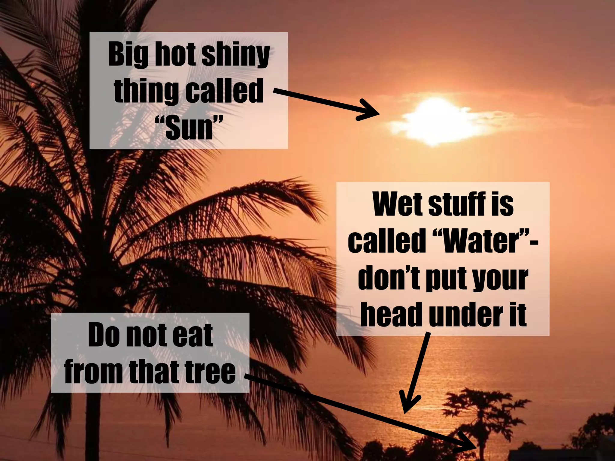 Danger, do not eat from the tree | PPTX