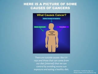Danger of cancer | PPT