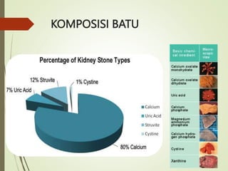 Danger of Kidney Stones.pptx