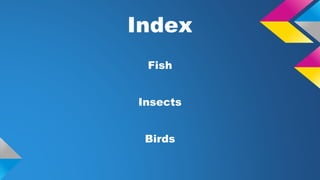 Dangerous animals | PPTX