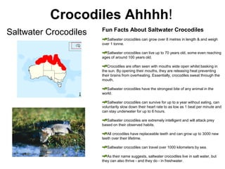 Dangerous Animals of Australia | PPT