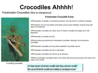 Dangerous Animals of Australia | PPT