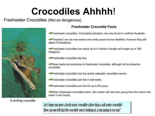 Dangerous Animals of Australia | PPT | Zoos & Aquariums | Attractions