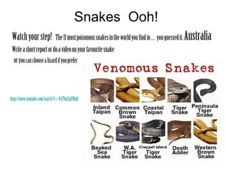 Dangerous Animals of Australia | PPT