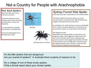 Dangerous Animals of Australia | PPT