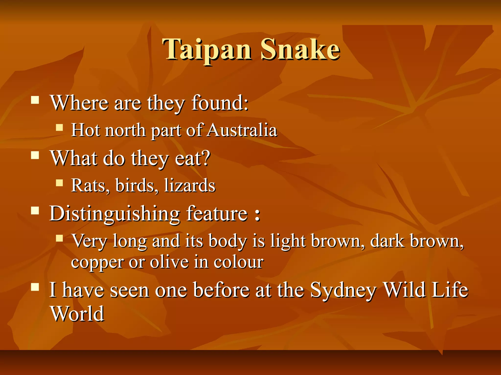 Dangerous australian animals | PPT