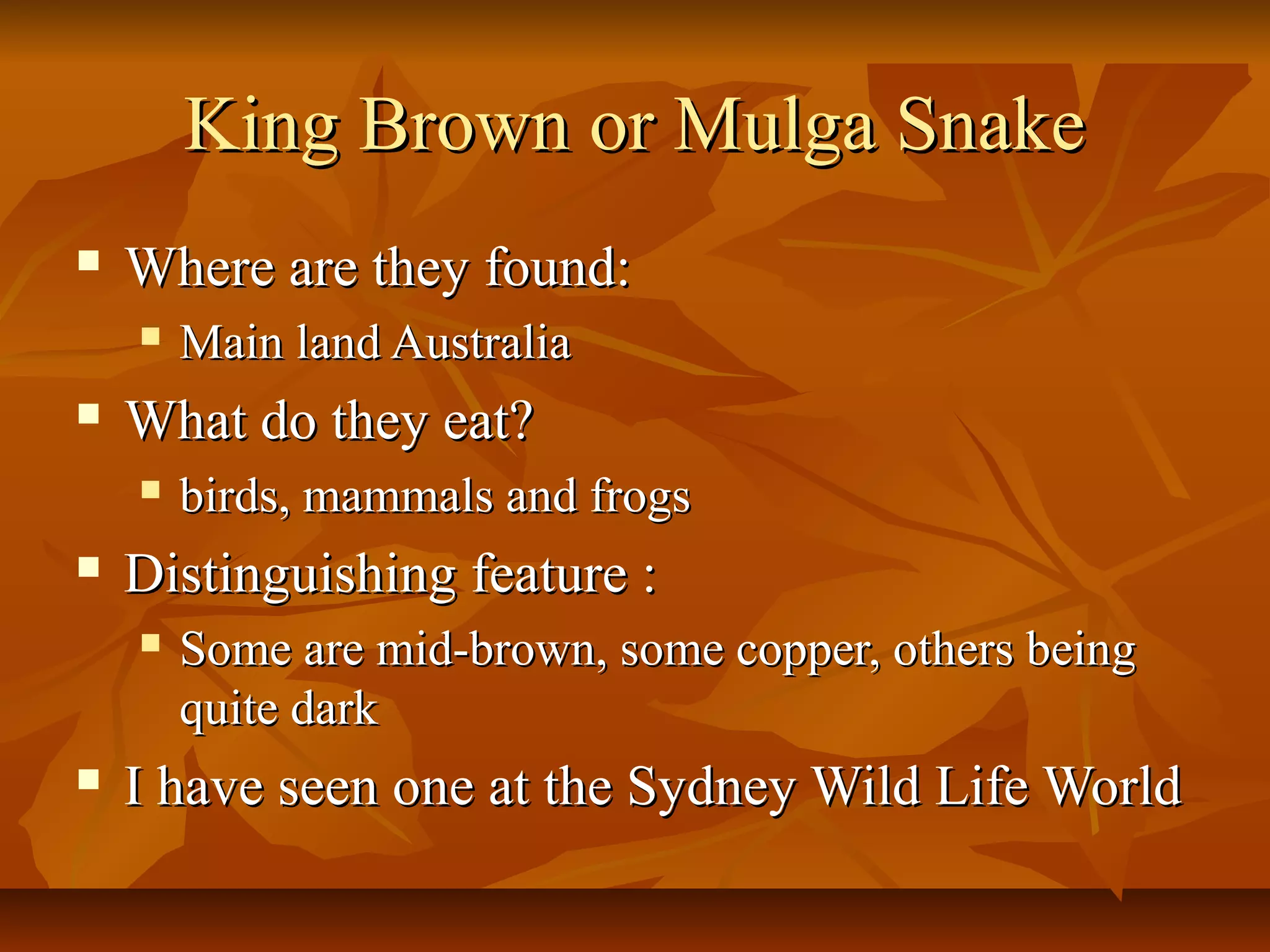 Dangerous australian animals | PPT