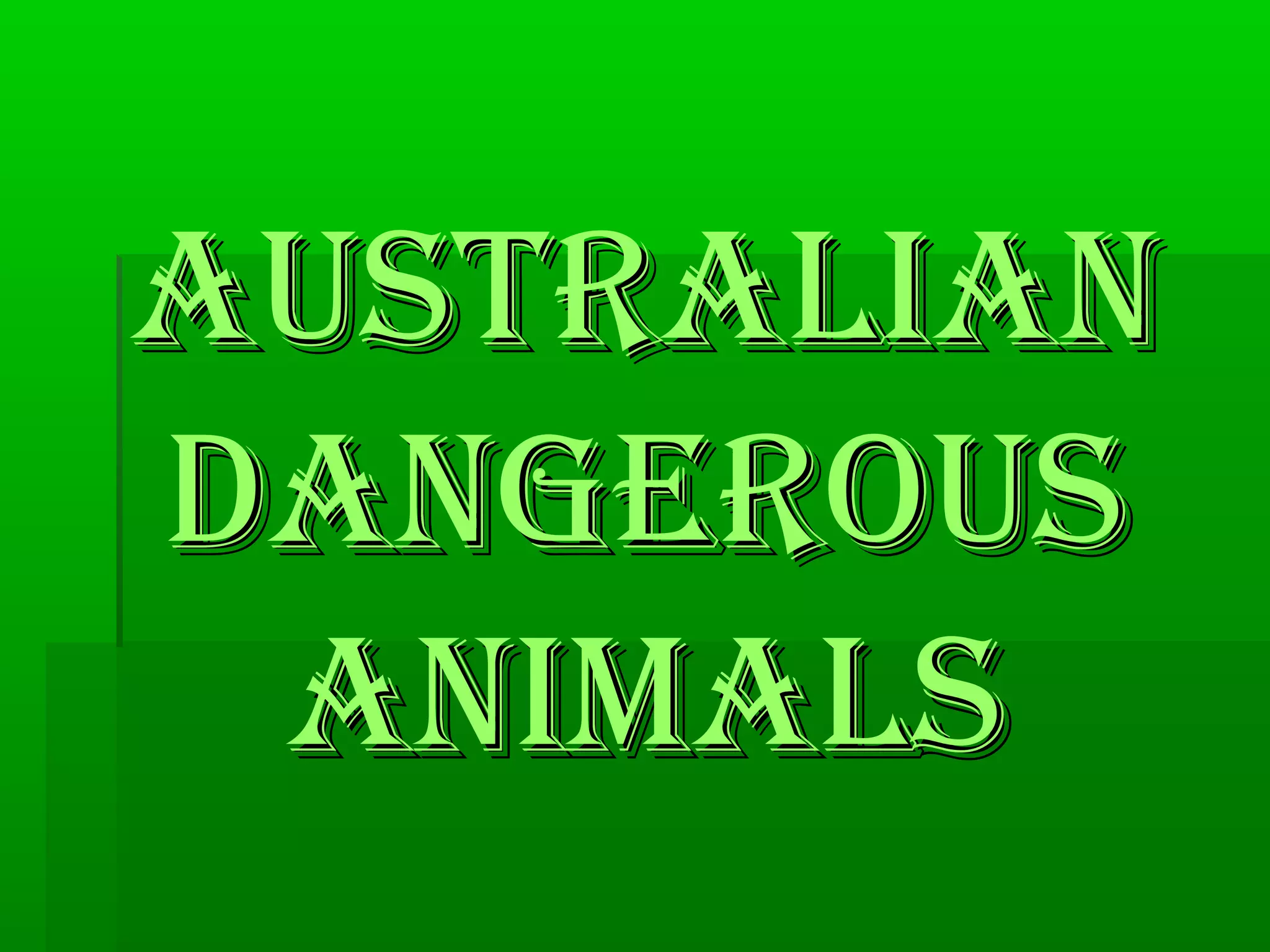Dangerous Australian Animals 11б | PPT