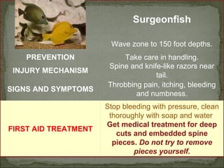 Dangerous marine creatures | PPT