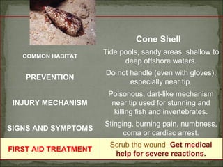 Dangerous marine creatures | PPT | First Aid | Injuries