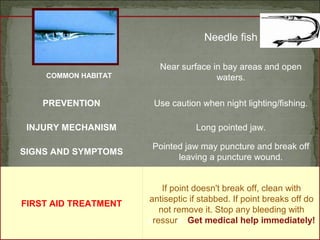 Dangerous marine creatures | PPT | First Aid | Injuries