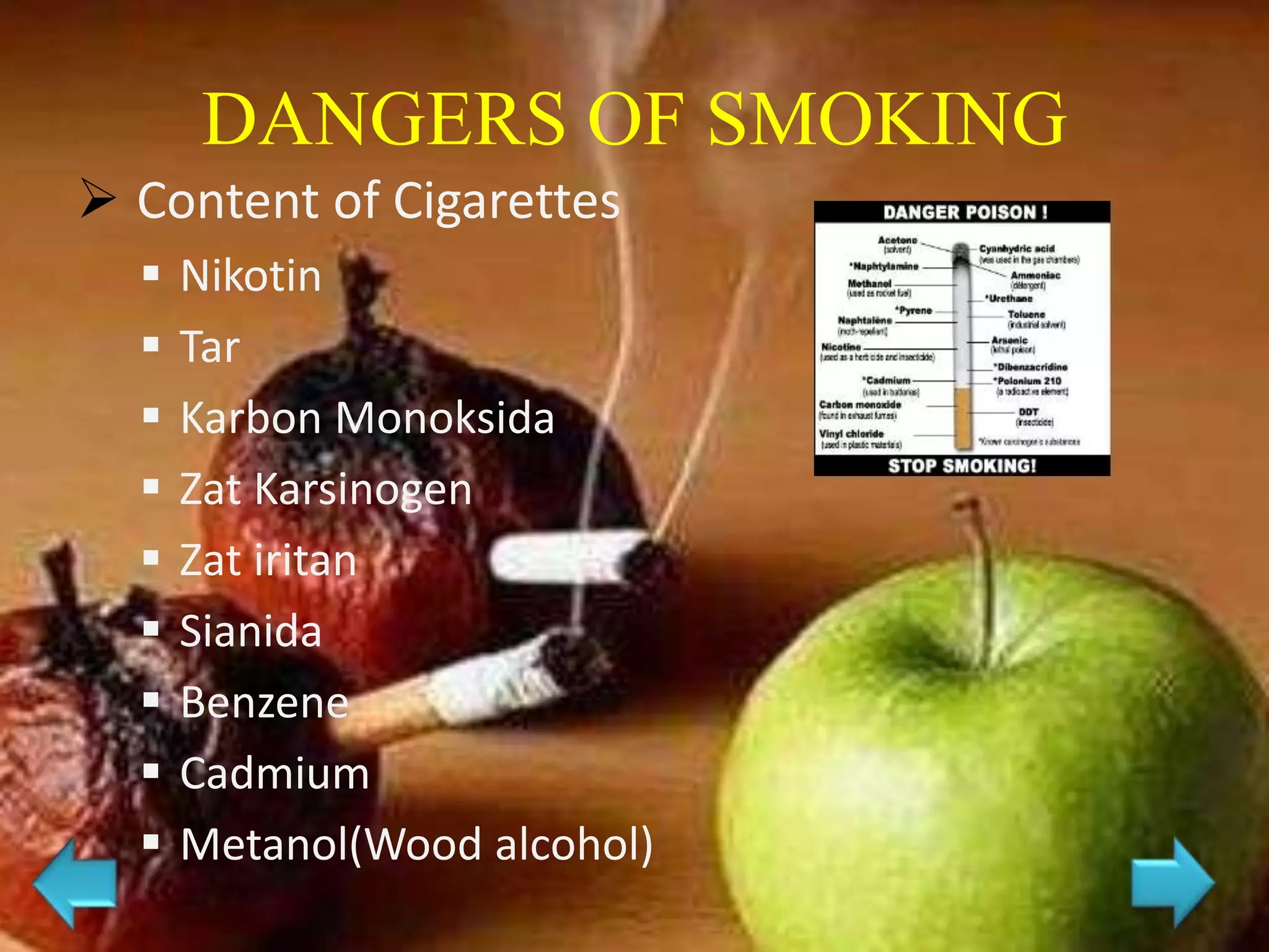 Bahaya Merokok (Dangers of smoking) | PPTX