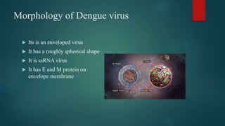 Dangue Virus | PPTX