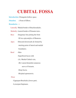 Cubital fossa | PDF