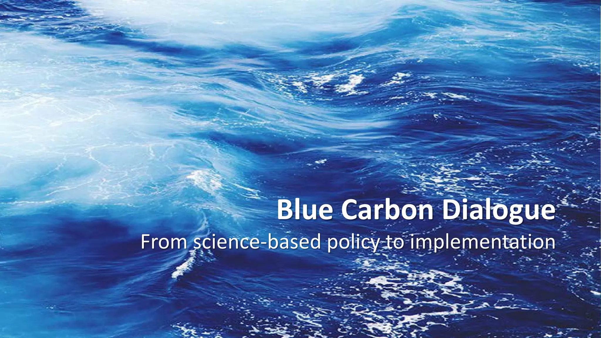 Blue Carbon Dialogue: From science-based policy to implementation | PDF