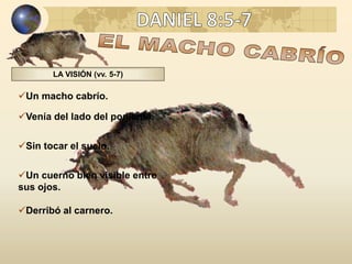 Daniel 8 carnero y macho cabrio | PPTX