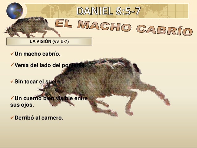 Daniel 8 carnero y macho cabrio