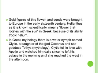 Daniela barragan | PPT