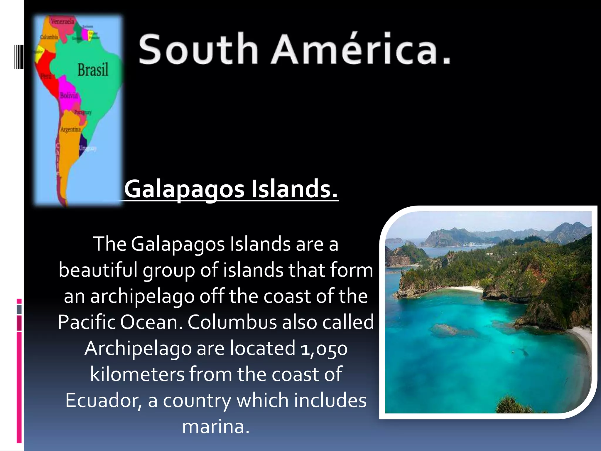 Daniela final presentation | PPTX