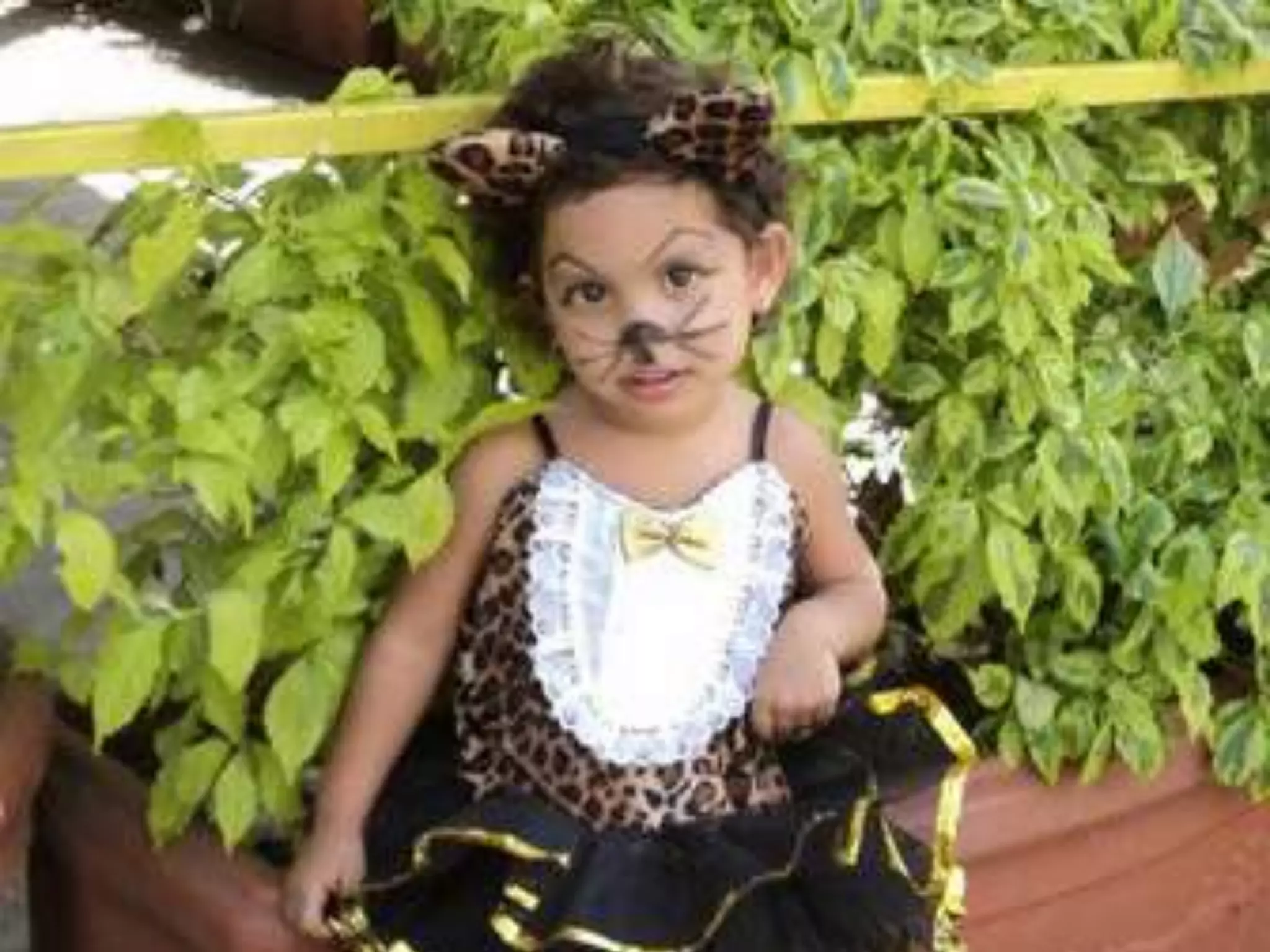 Daniela marcano | PPTX